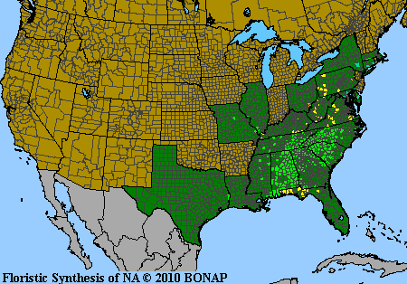Shrubs — Gardens of The Blue Ridge