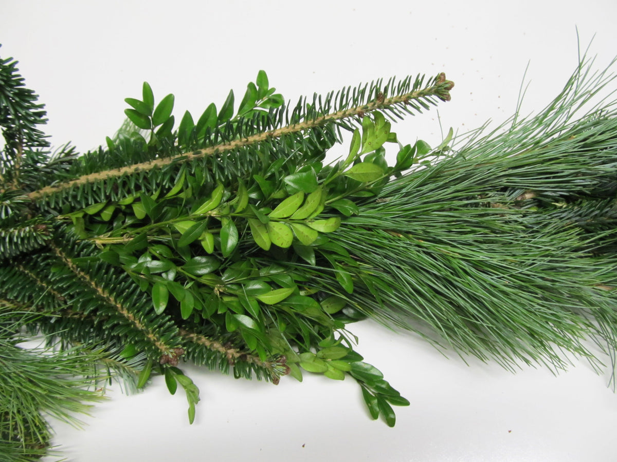 FRASER FIR WHITE PINE AND BOXWOOD GARLAND — Gardens of The Blue Ridge